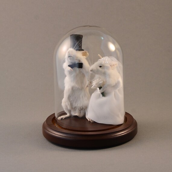 Taxidermy Wedding Mouse Couple Bride and Groom Mice Cake