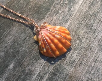 Sunrise shell necklace | Etsy