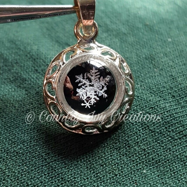 Real Preserved Snowflake Jewelry & more.... by CountryIvyCreations