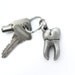 Human Tooth Keychain Tooth Anatomy Keychain Dentist