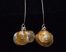 Unique jingle shells related items | Etsy