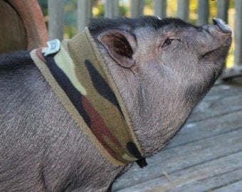 Mini pig clothes | Etsy