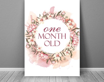 Pink Girls Baby Milestone Card Instant Download by BooBeanDesign