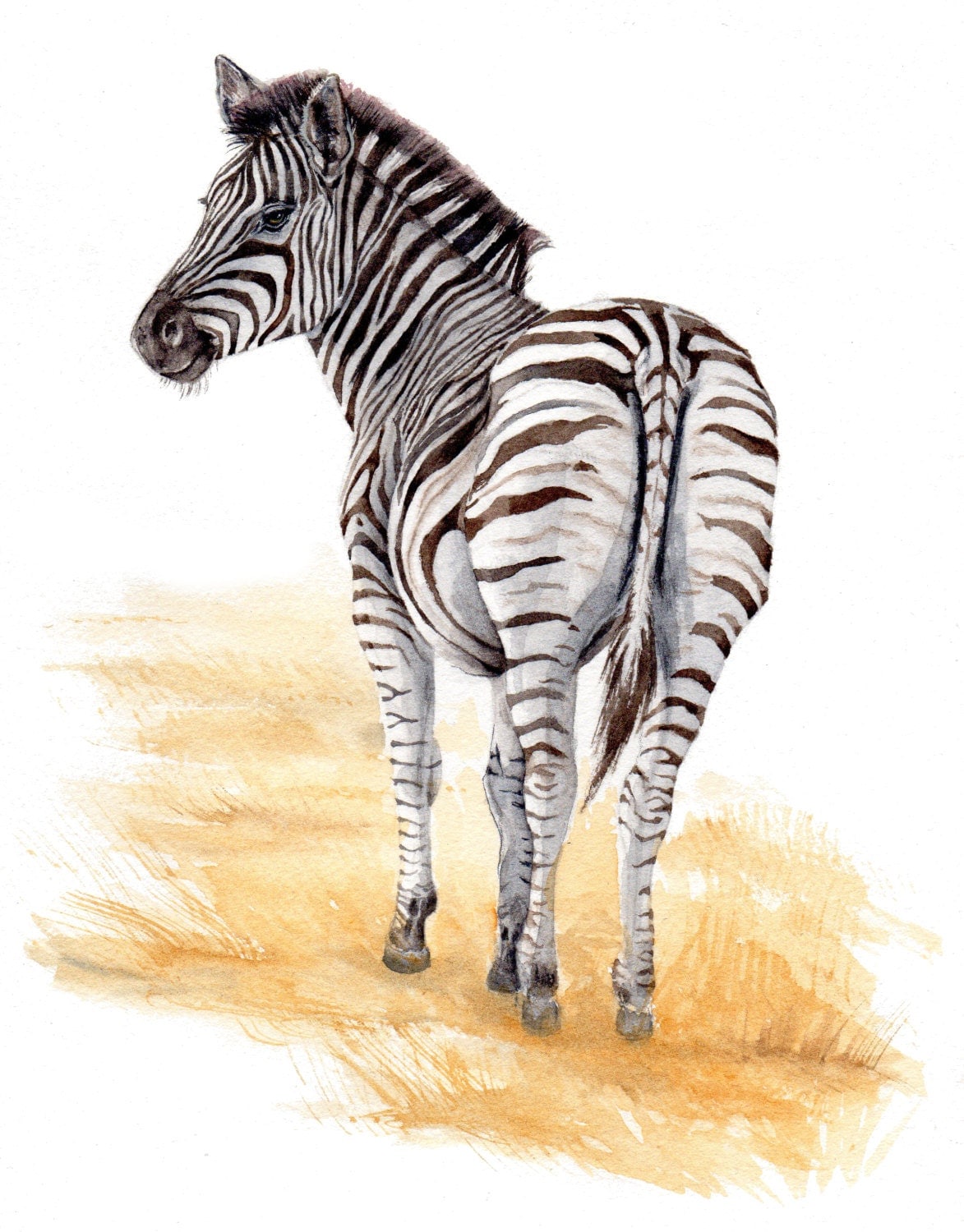 Zebra Original Watercolor Painting 8.5''x11 nursery
