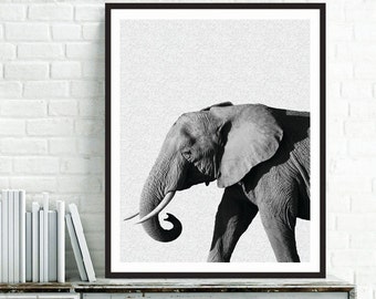 Elephant poster | Etsy