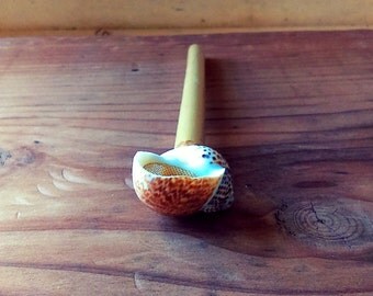 Unique seashell pipe related items | Etsy