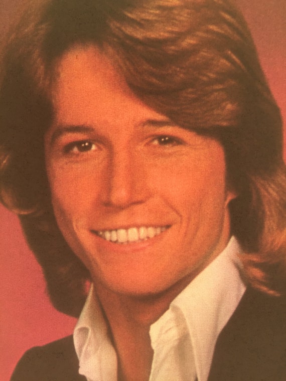 Andy Gibb of the Bee Gees Vintage Iron On Heat by VintageIronOn