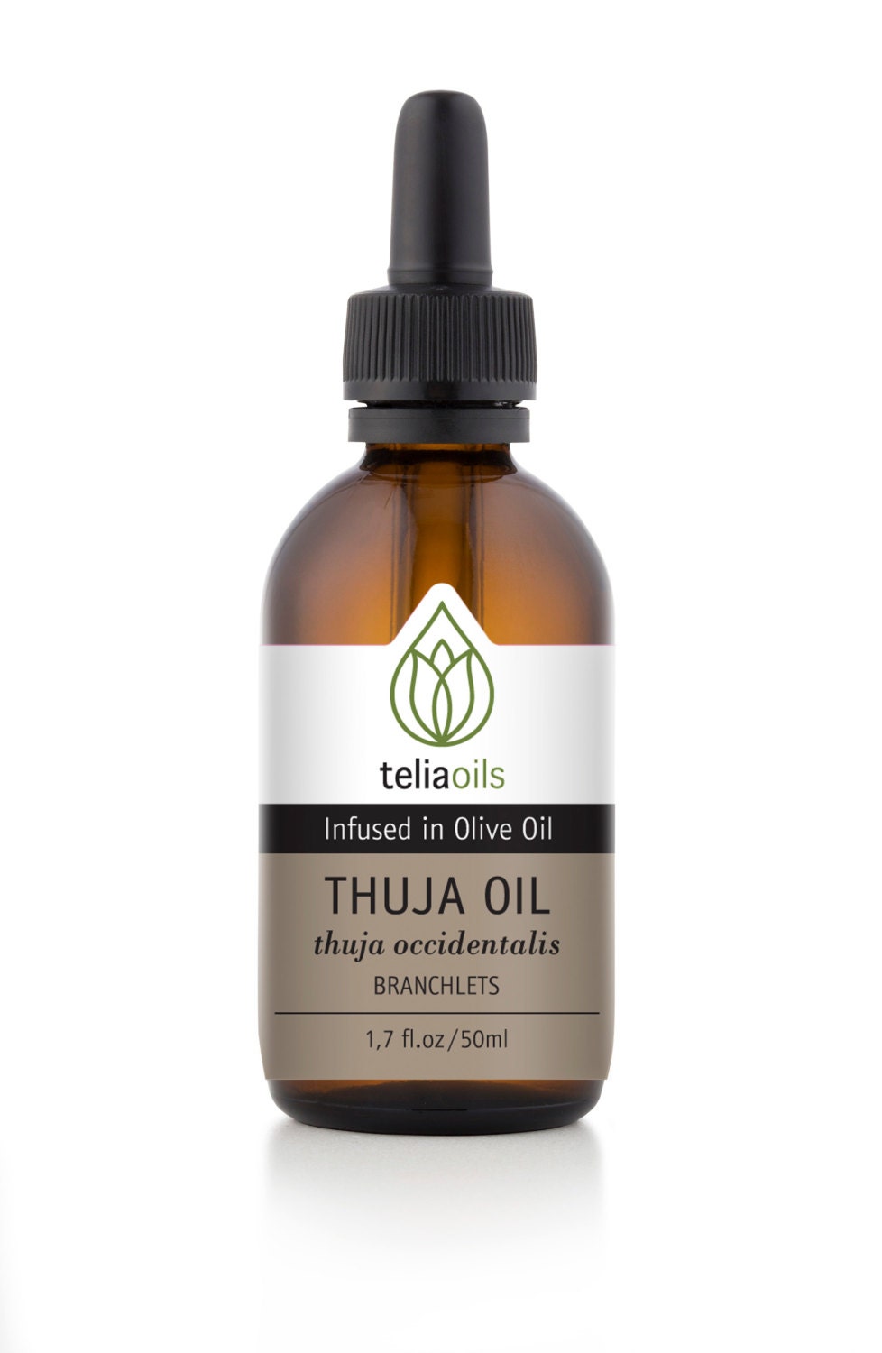 Thuja Infused Oil Extract Macerated Oil Useful for Skin