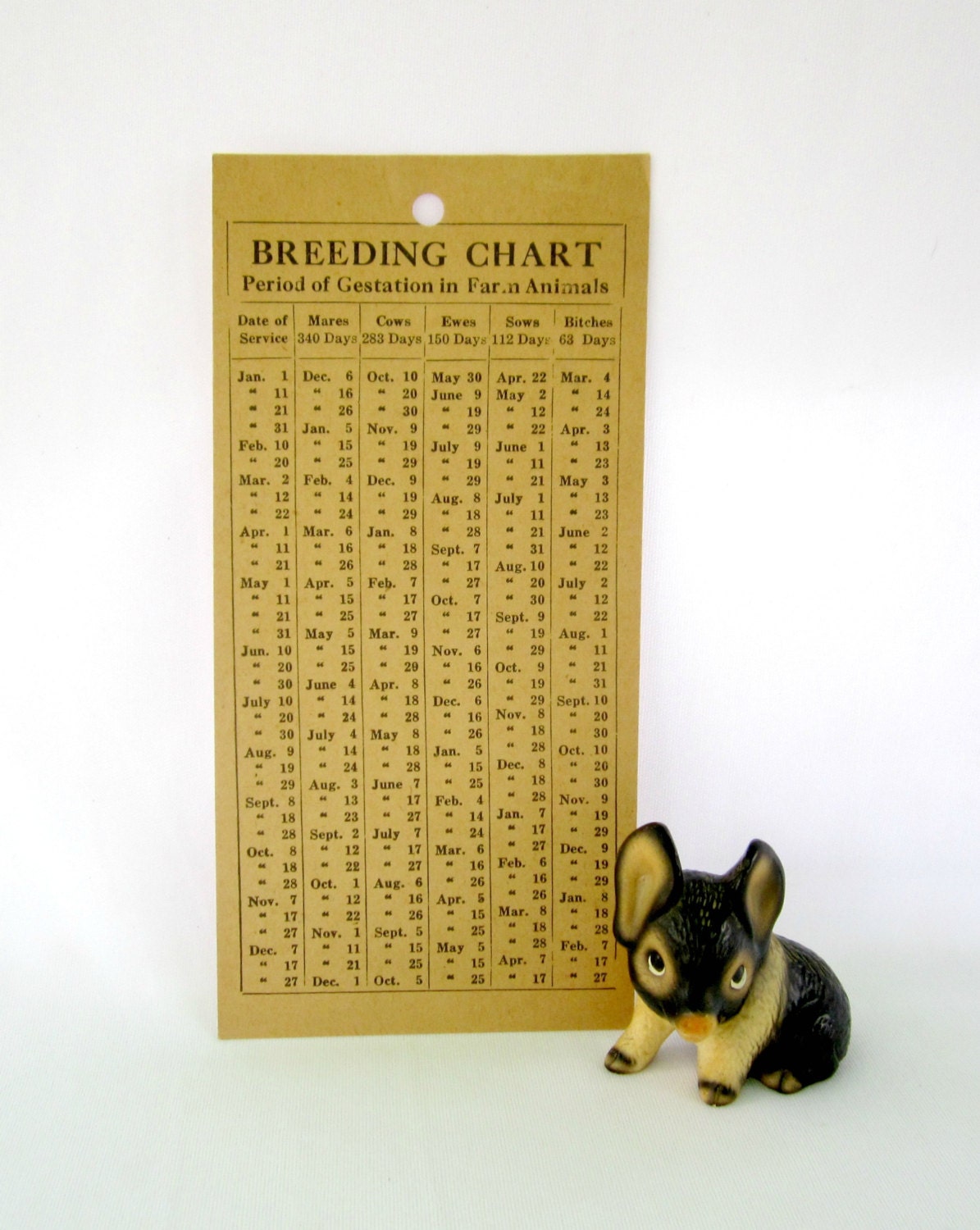 Breeding Chart Gestation In Farm Animals Paper Ephemera