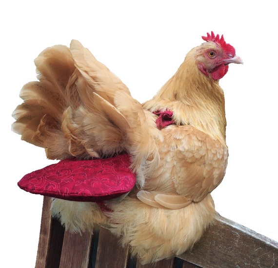 Small Stylish Chicken Diaper Perfect for Small Bantams