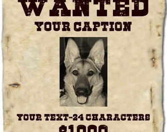 Custom wanted poster | Etsy