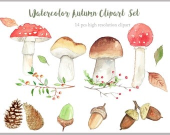 Acorn clipart | Etsy