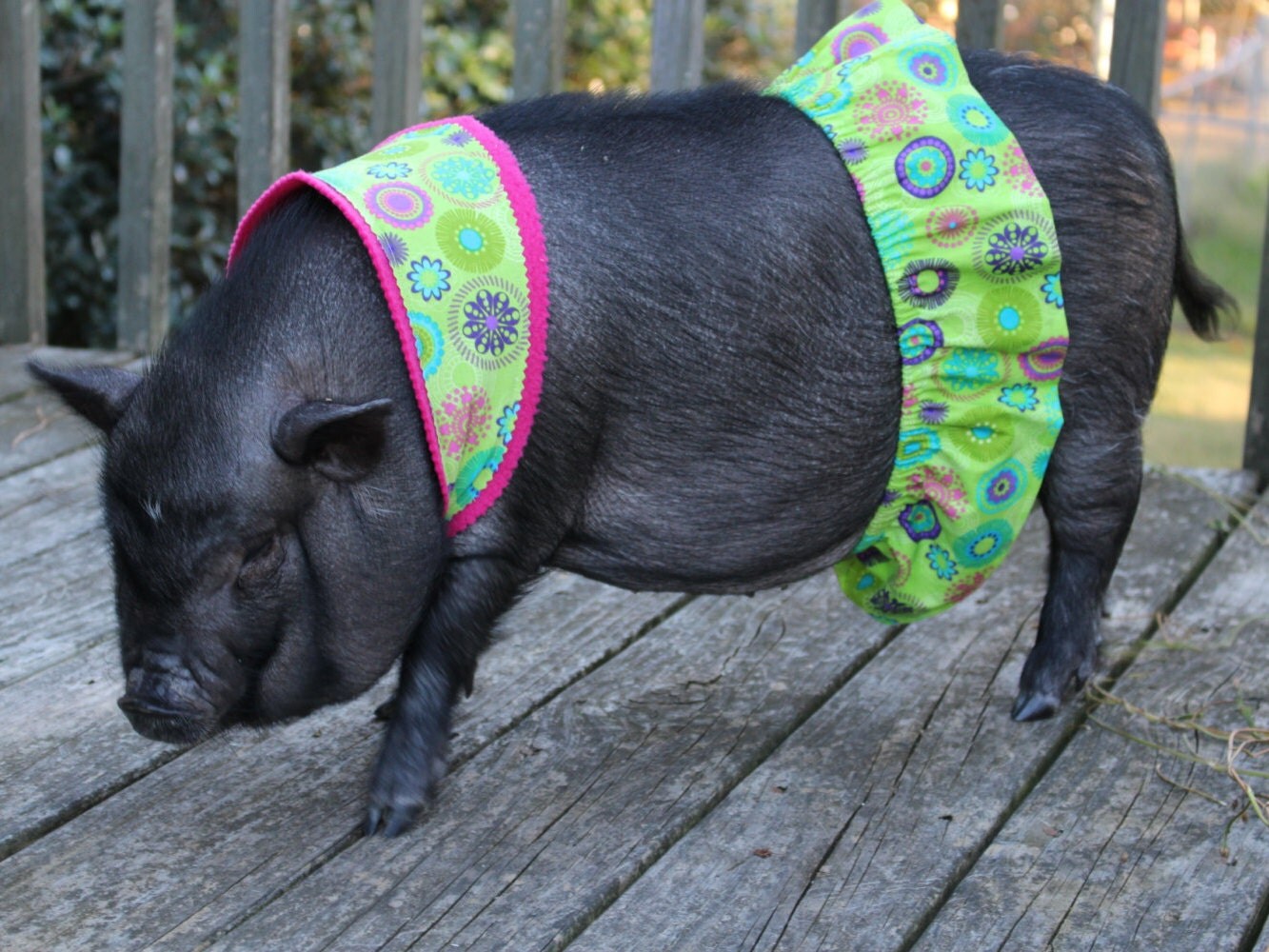 Let's play dress up Pet Tutu Pig Clothes Mini by rootertothetooter