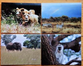 Jungle safari zoo animaux thème oreilles serre-tête