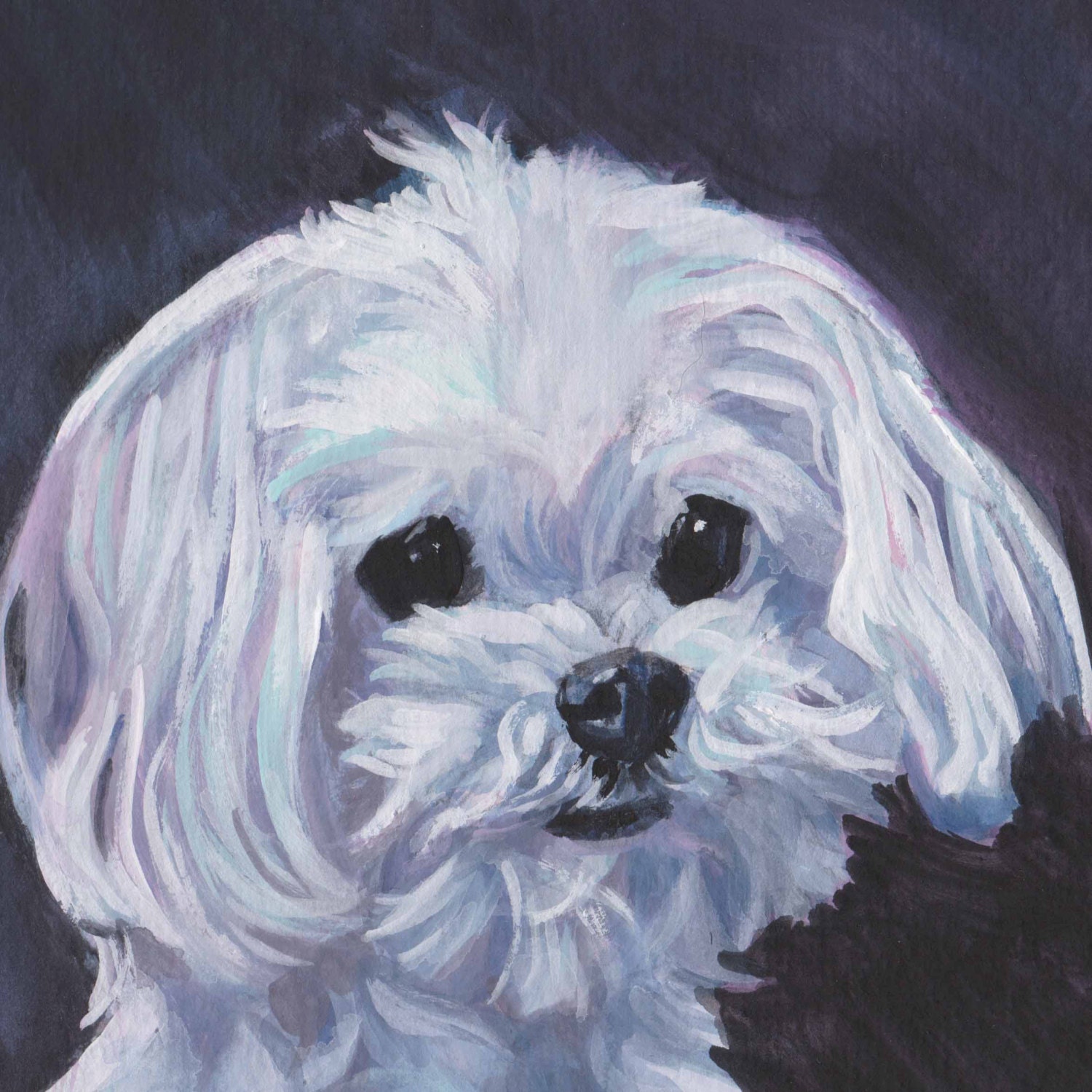 Maltese dog portrait art Canvas PRINT of LAShepard painting