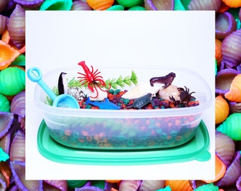 Sensory bins | Etsy