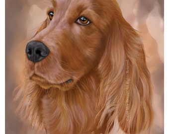 Irish setter art | Etsy