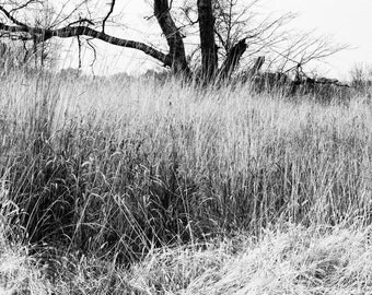 Keith Dotson Fine Art Photographs by keithdotson on Etsy