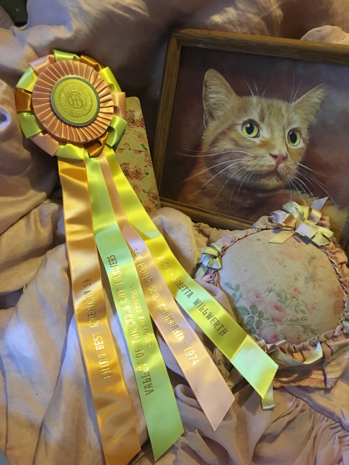 Vintage CFA CAT Show Satin Ribbon Rosette Award 3rd Best
