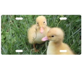 Duck license plate | Etsy
