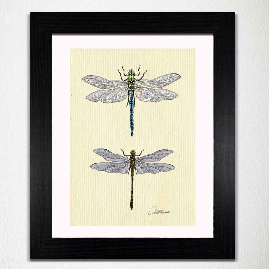Dragonfly Wall Art Dragonfly Painting Dragonfly Artwork