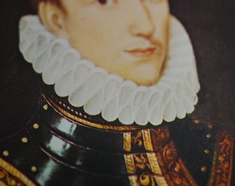 Elizabethan collar | Etsy
