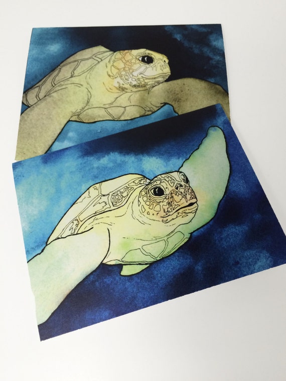 Sea Turtle Note Cards Ocean Themed Stationery Present