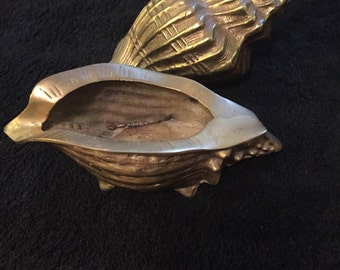 Conch shell planter | Etsy