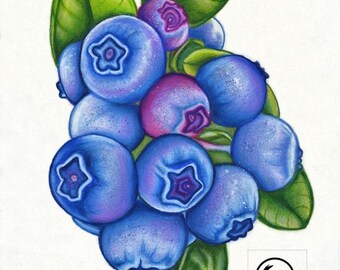Blueberry wall art | Etsy