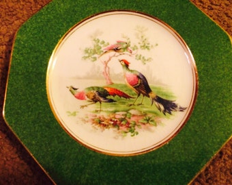 Peacock china | Etsy