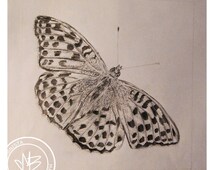 Popular items for insect drawings on Etsy