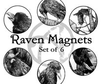 Raven Magnets - Set of 6