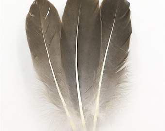 Grey goose feathers | Etsy