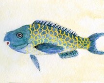 Unique parrot fish related items | Etsy