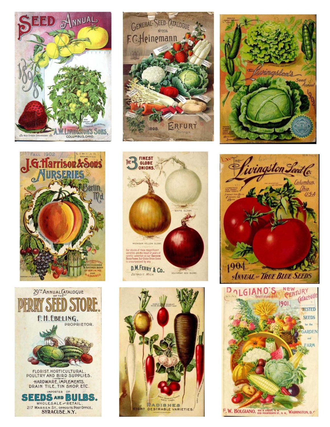 Vintage Seed Packet Digital Download Flower Vegetable Seed
