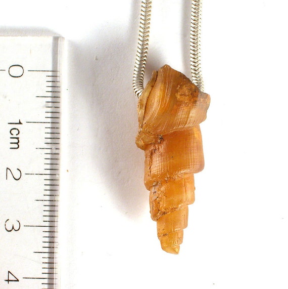 DVH Fossil Agatized Snail Shell Natural Surface Spiral Focal