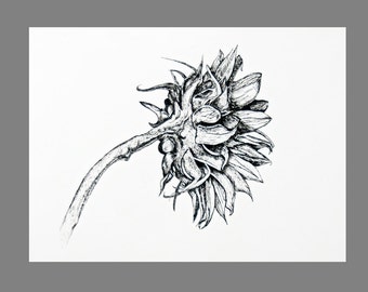 Sunflower drawing | Etsy