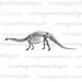 Digital Dinosaur Skeleton Brontosaurus by VintageRetroAntique