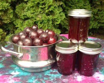 Triple Berry Jam strawberry raspberry and by IddellDewGardens