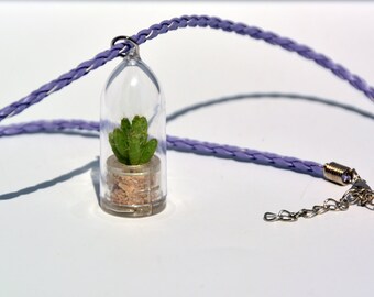 Container necklace | Etsy