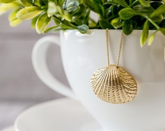 Gold Seashell Necklace Tiny Seashell Seashell Charm