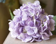 Unique hydrangea plants related items | Etsy