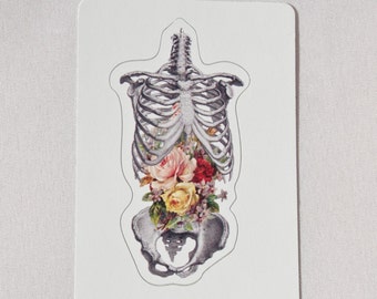 Rib cage | Etsy