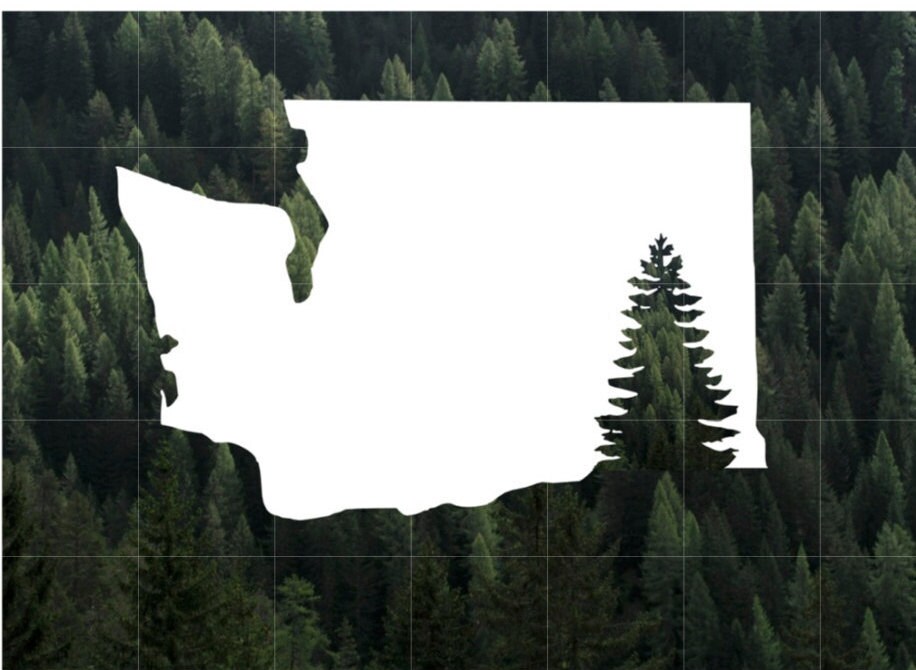 Washington State Evergreen Silhouette Vinyl Decal Car Decal