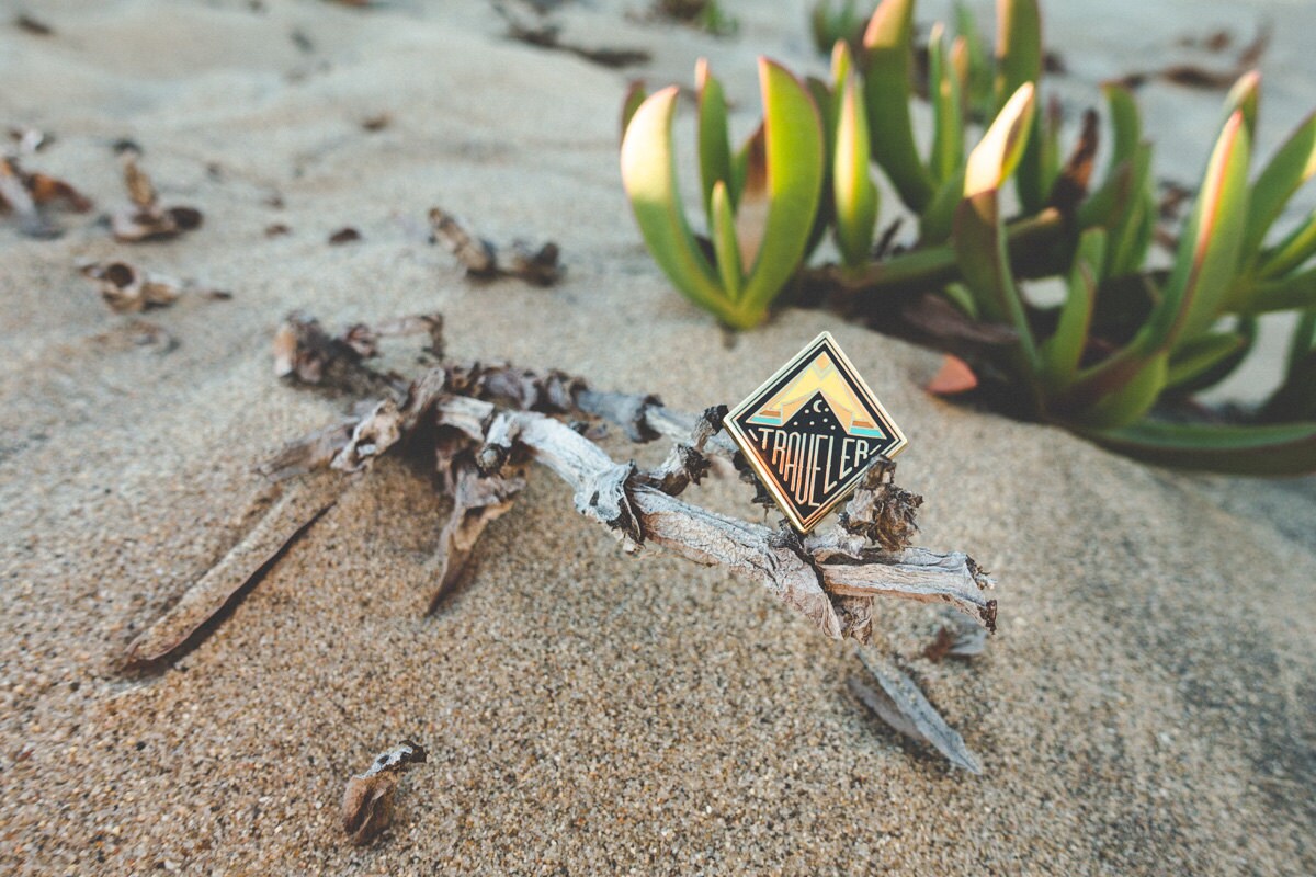 Traveler Lapel Pin