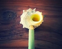 Popular items for seashell pipe on Etsy