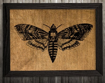 Unique moth print related items | Etsy