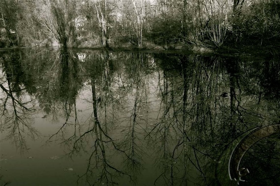 Items similar to Creepy Pond on Etsy