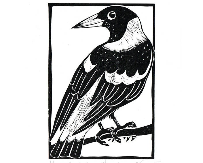 Linocut of an Australian Magpie in Traditional Black