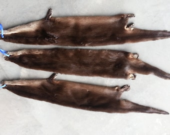 Otter fur | Etsy
